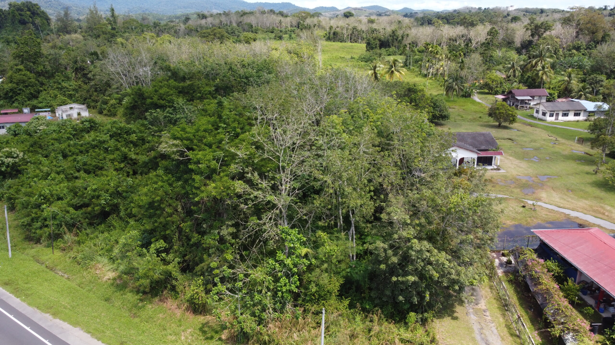 Tanah Pertanian Getah di Kg Gelok, Kuala Jepai, Lenggong Perak ...