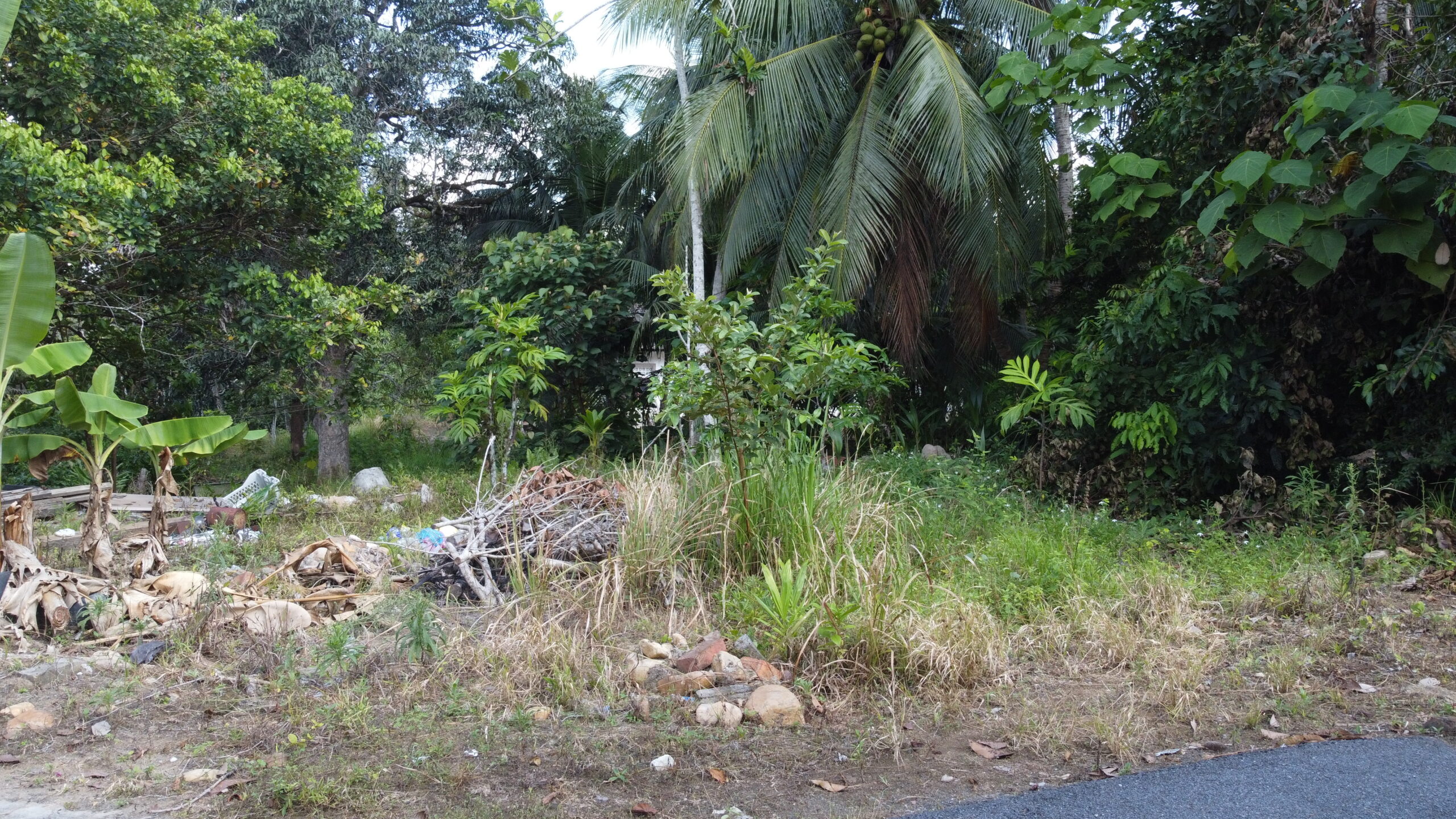 Tanah untuk dijual di Kampung Gua Badak Lenggong - HartanahPerak.my ...