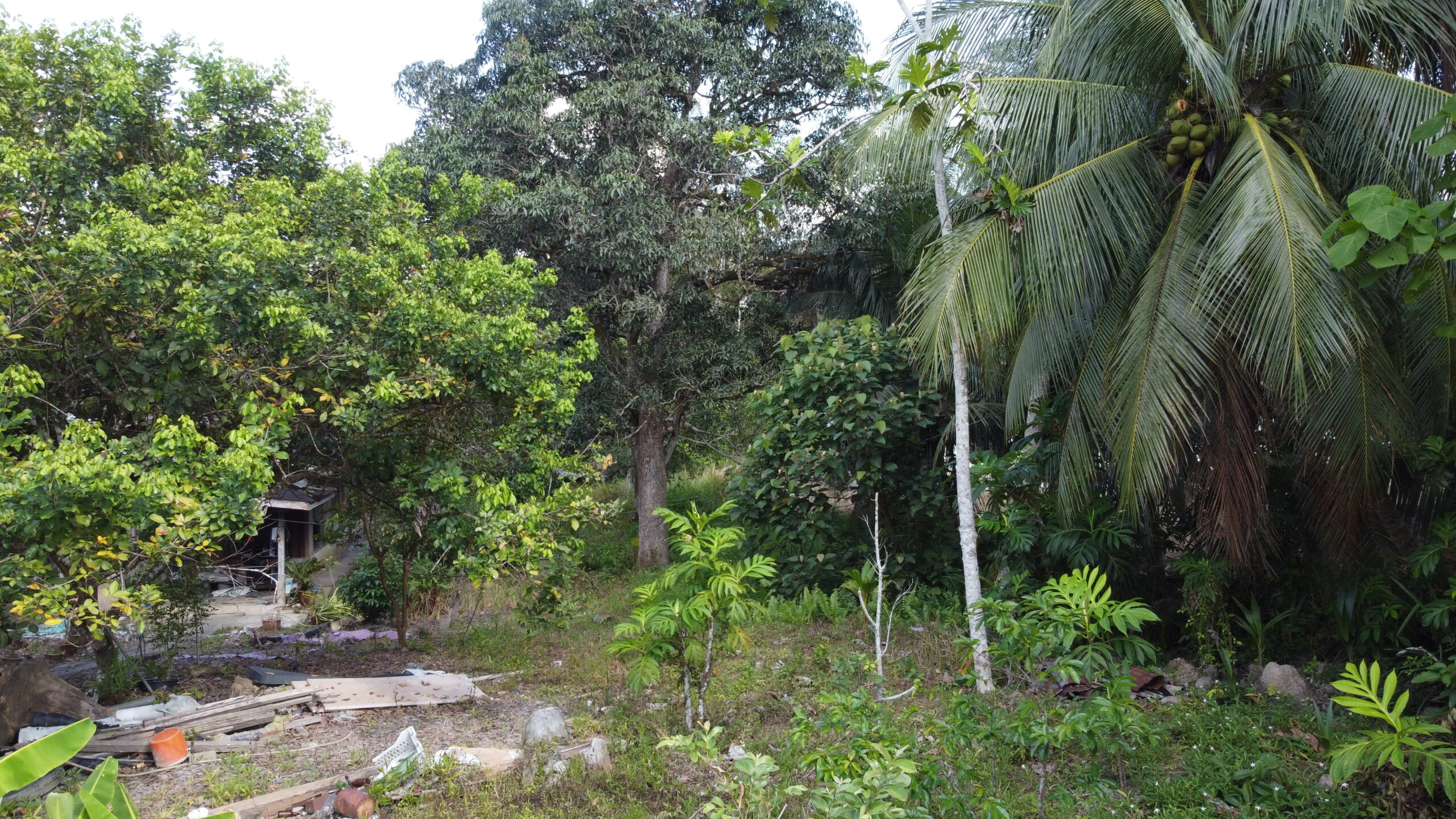Tanah untuk dijual di Kampung Gua Badak Lenggong - HartanahPerak.my ...