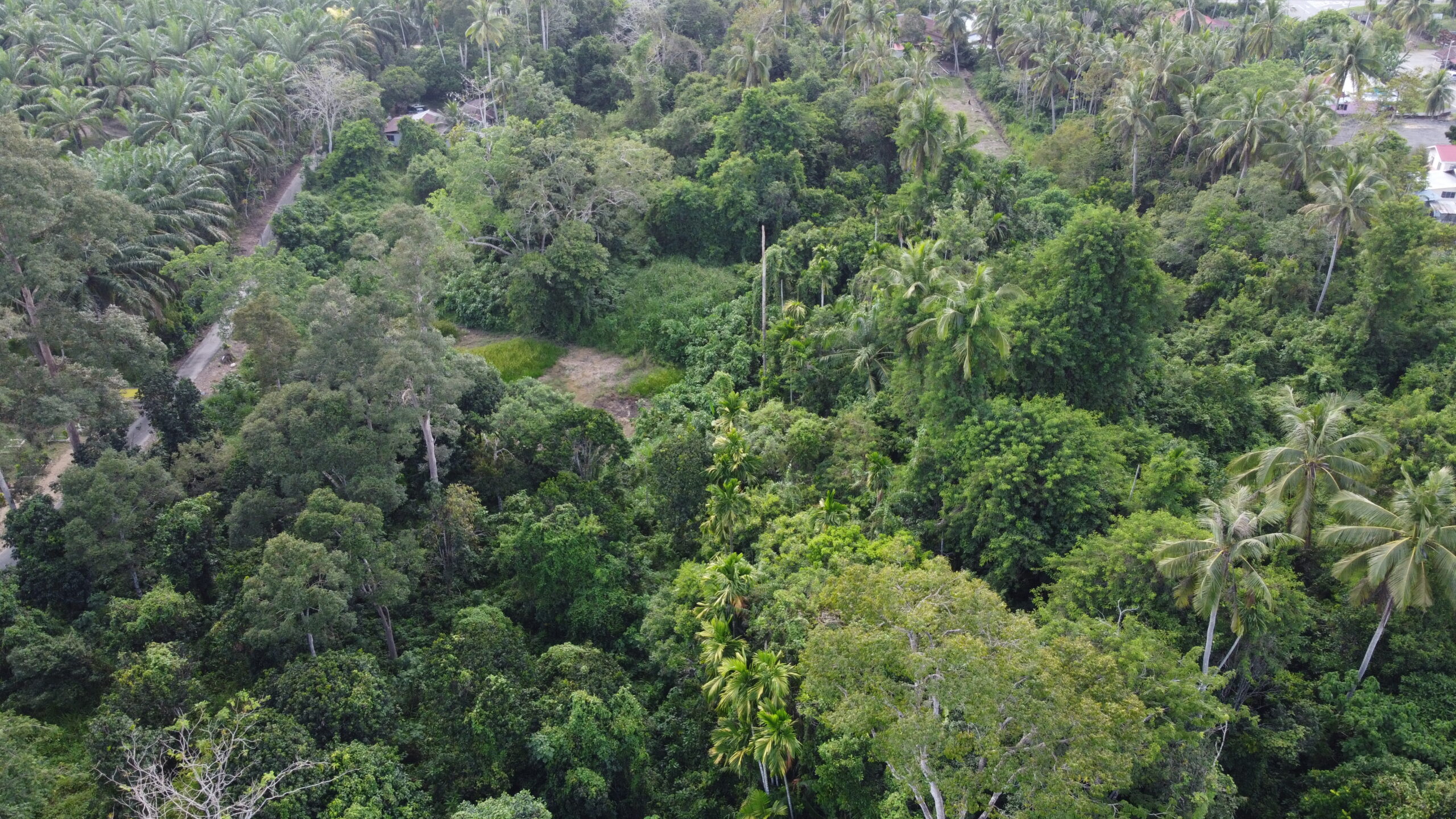 Tanah untuk dijual di Kampung Gua Badak Lenggong - HartanahPerak.my ...