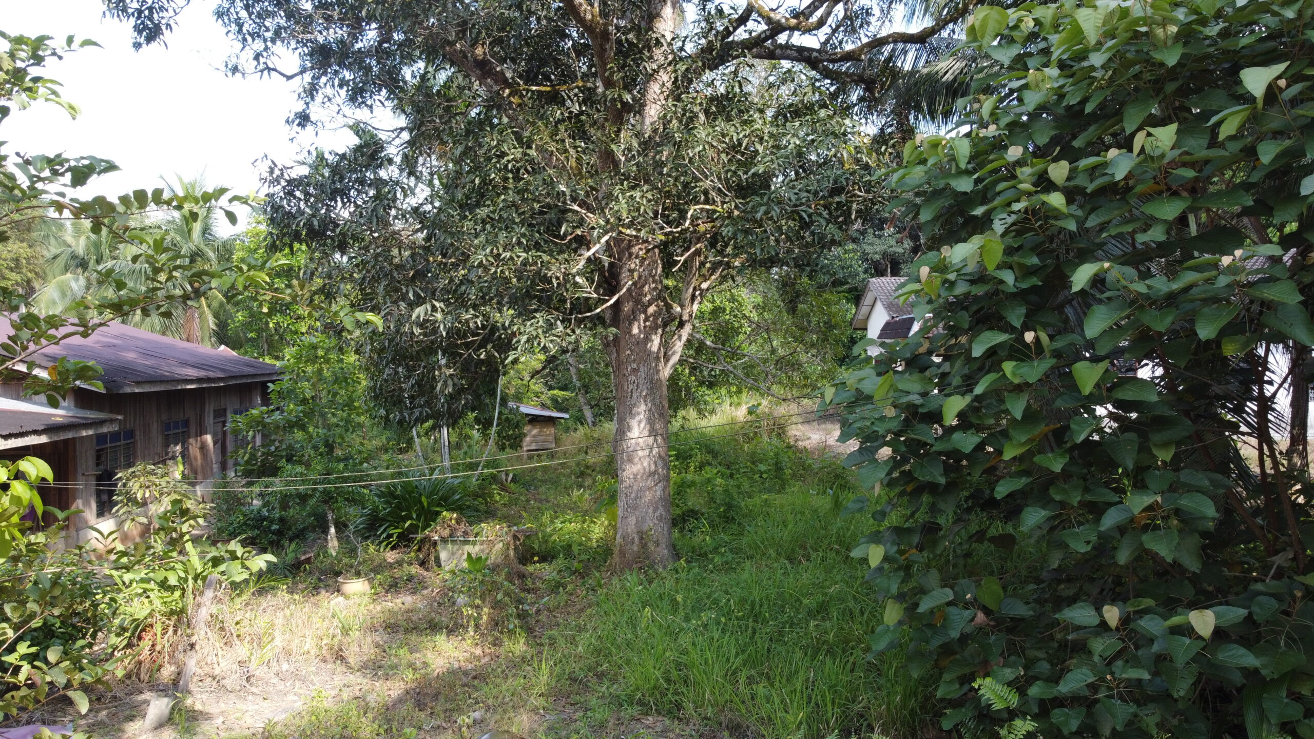 Tanah untuk dijual di Kampung Gua Badak Lenggong - HartanahPerak.my ...
